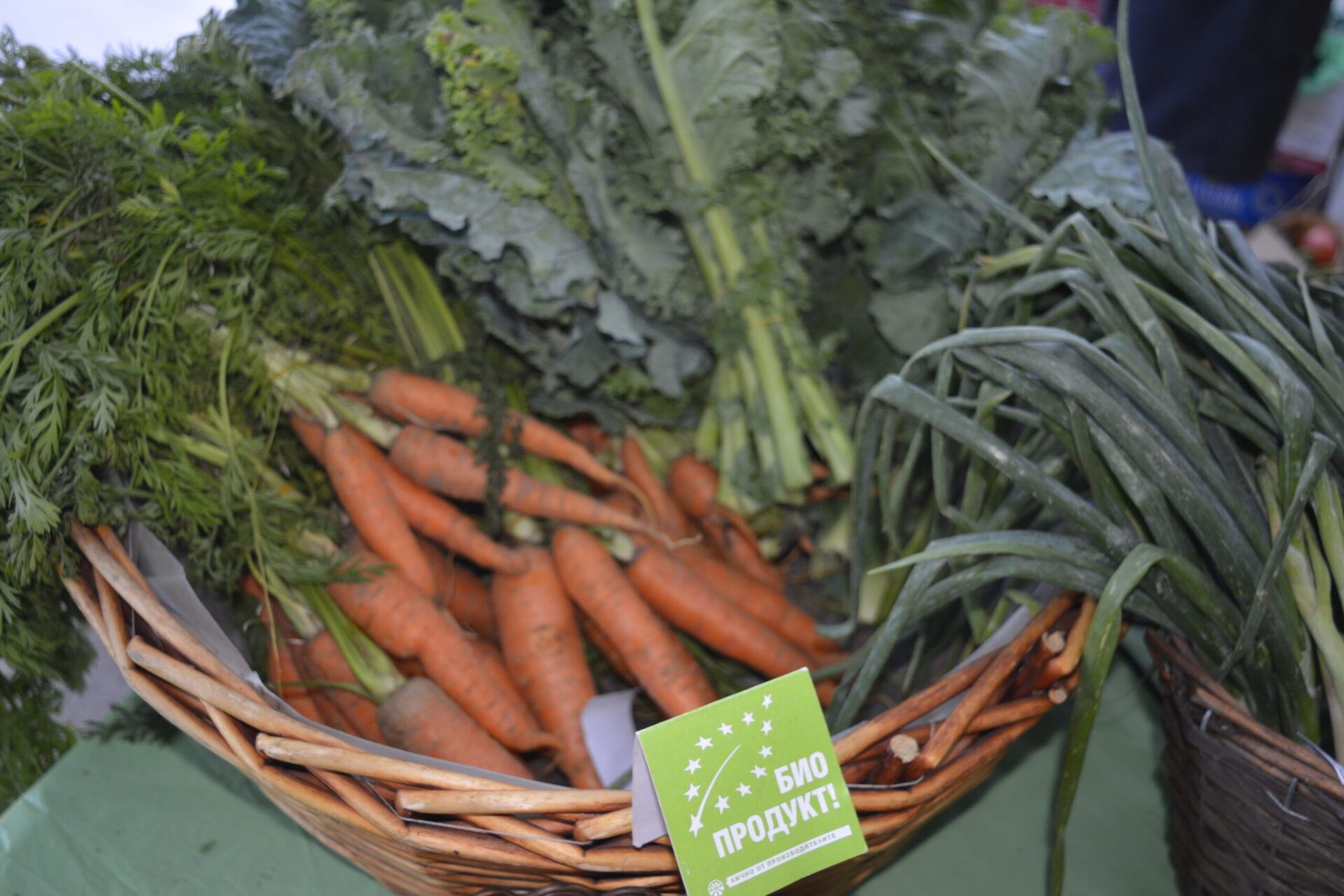 Биодинамичните технологии за отглеждане на трайни насаждения и ...